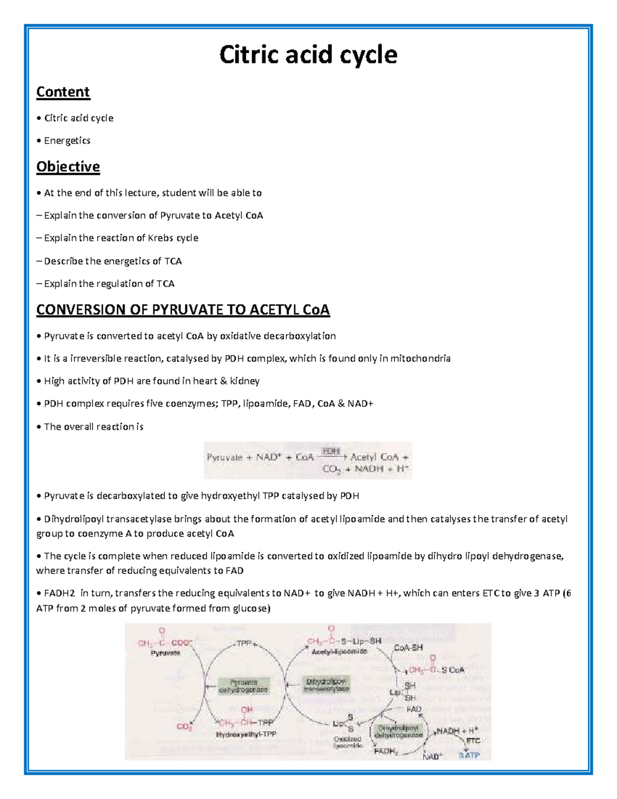 Citric acid cycle - Citric acid cycle Content Citric acid cycle ...