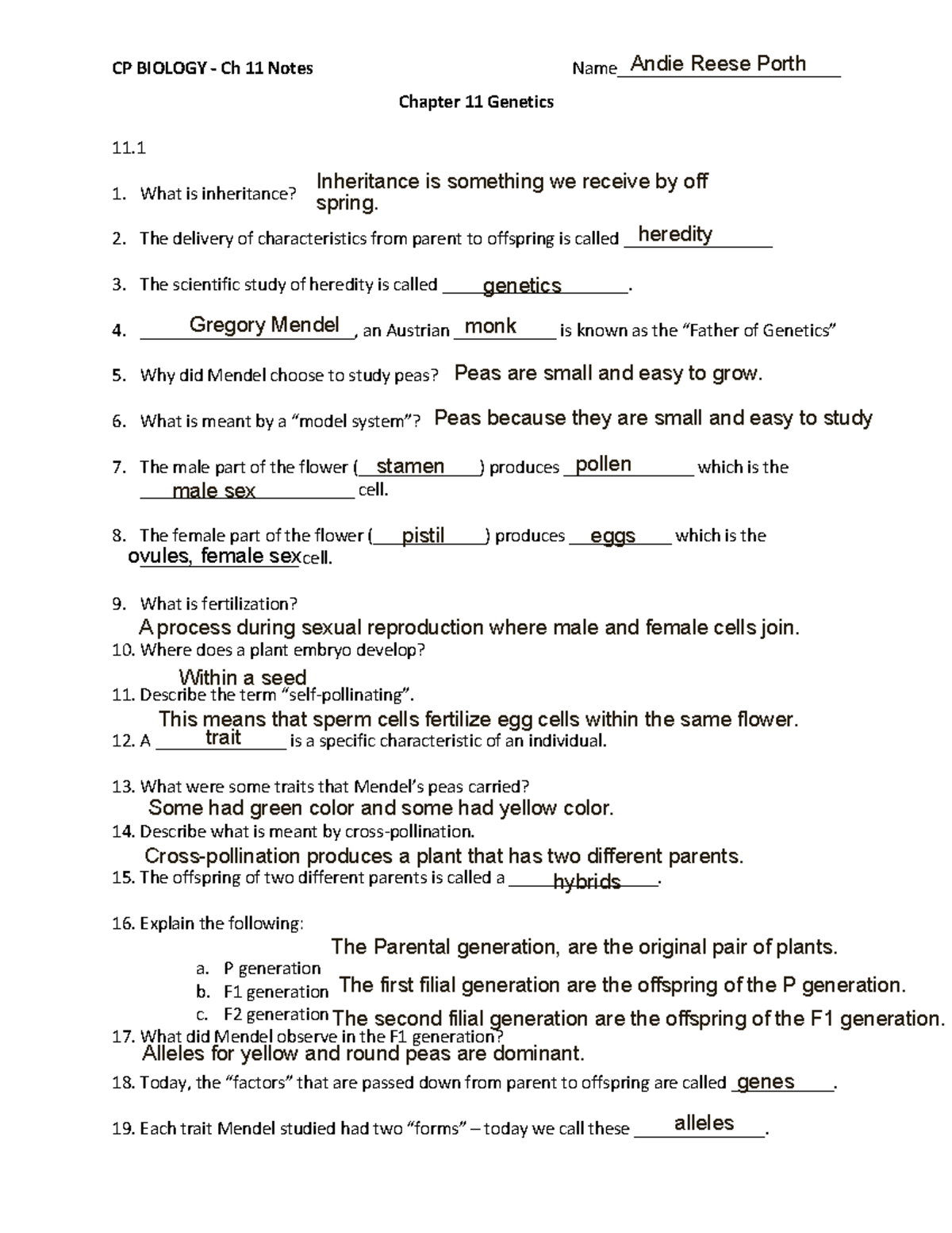 Kami Export - Ch 11 Guided Notes - Chapter 11 Genetics 11. 1. What is ...