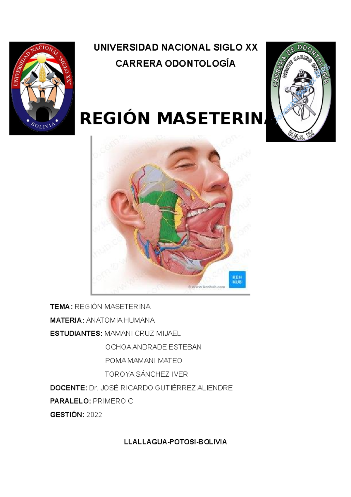 Región Maseterina - Un buen servicio - UNIVERSIDAD NACIONAL SIGLO XX ...