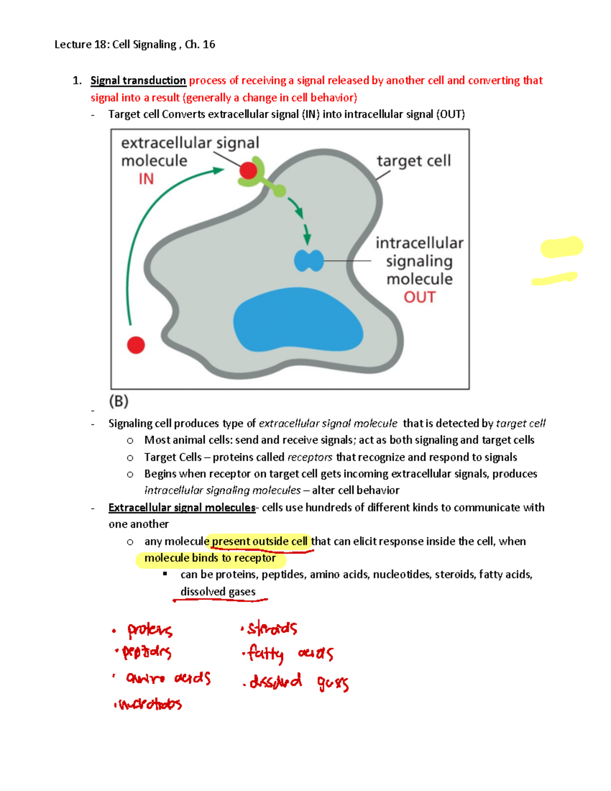 Signal transduction - Notes for Exam 3/Final study guide - Signal ...