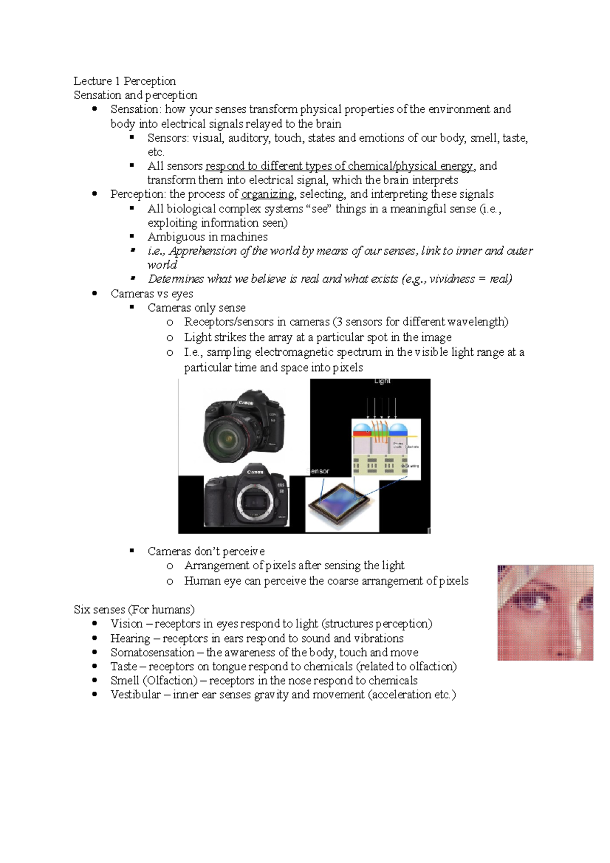 Psyc1002 perception - Lecture 1 Perception Sensation and perception Sensation: how your senses ...