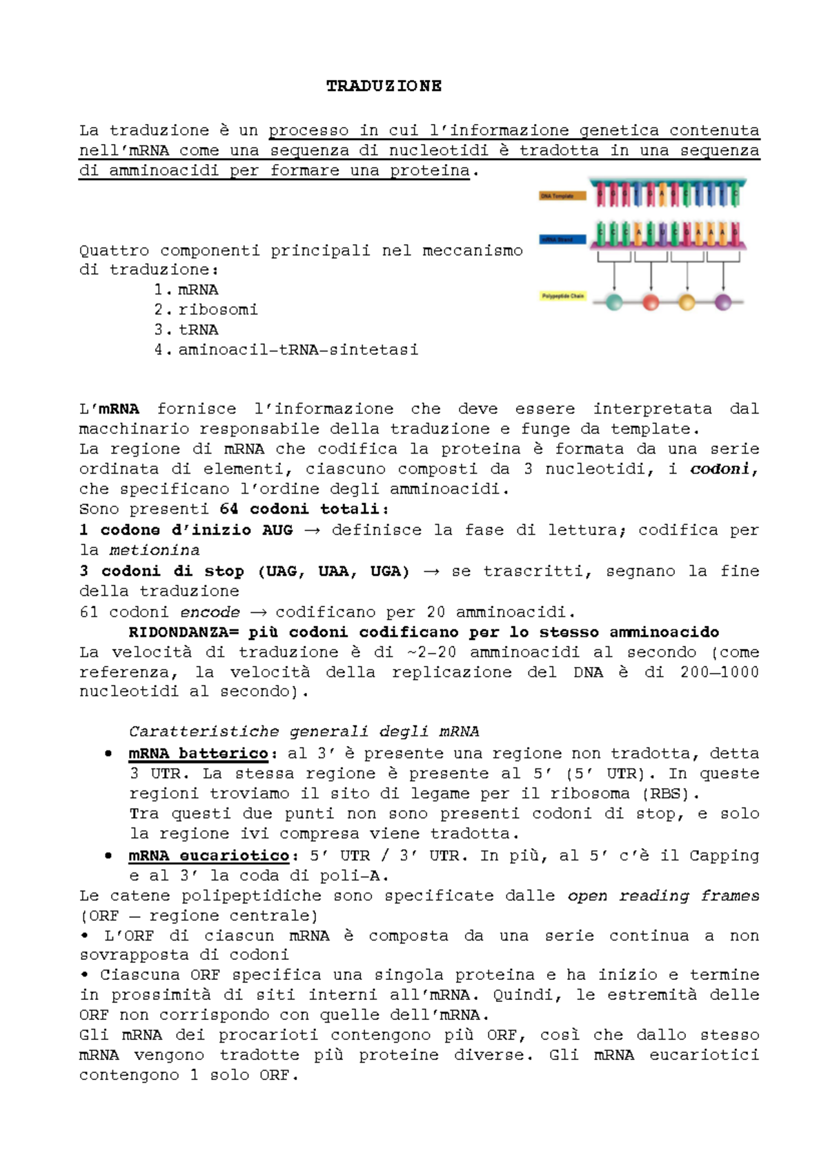 Traduzione - TRADUZIONE La traduzione è un processo in cui l ...