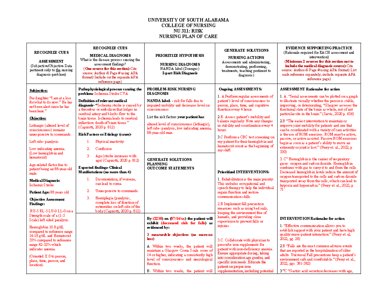 Ware Care Plan 2 - care plan - RECOGNIZE CUES ASSESSMENT (Subjective ...