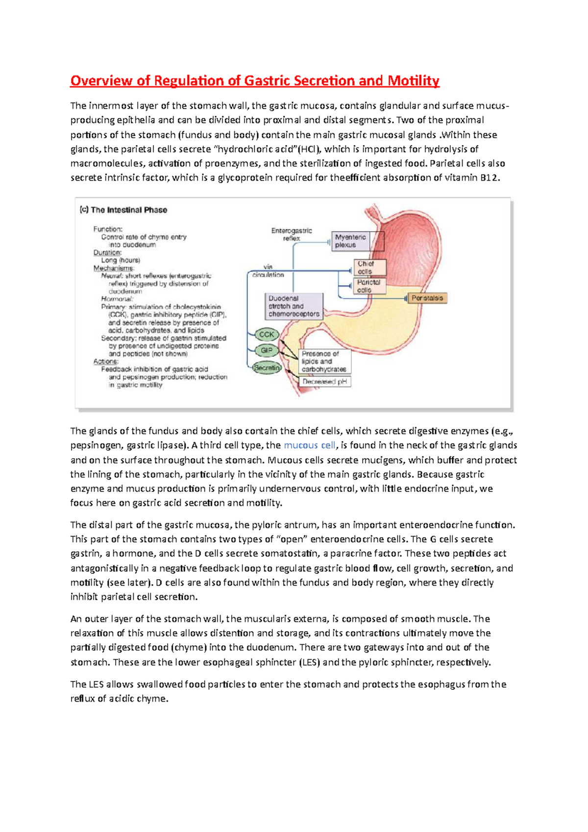 Overview of Regulation of Gastric Secretion and Motility - Two of the ...