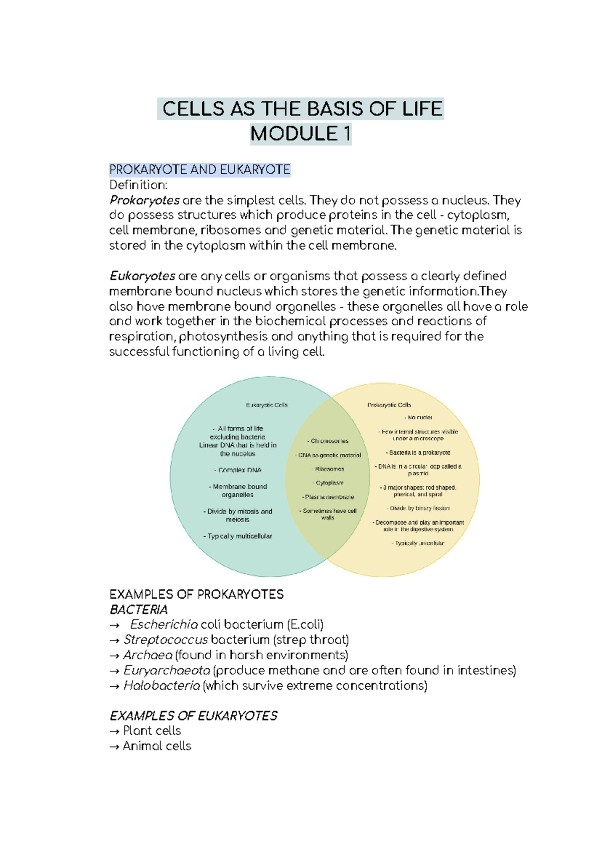 DP- Biology Notes - Year 11 ( 2019 syllabus ) - CELLS AS THE BASIS OF ...