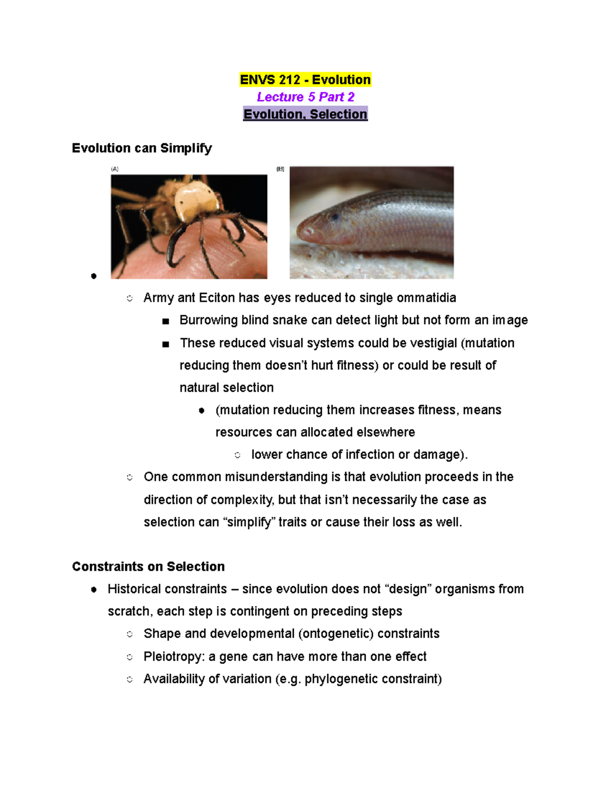ENVS 212 Lecture 5 Part 2 - Spring 2020 - ENVS 212 - Evolution Lecture 5 Part 2 Evolution ...