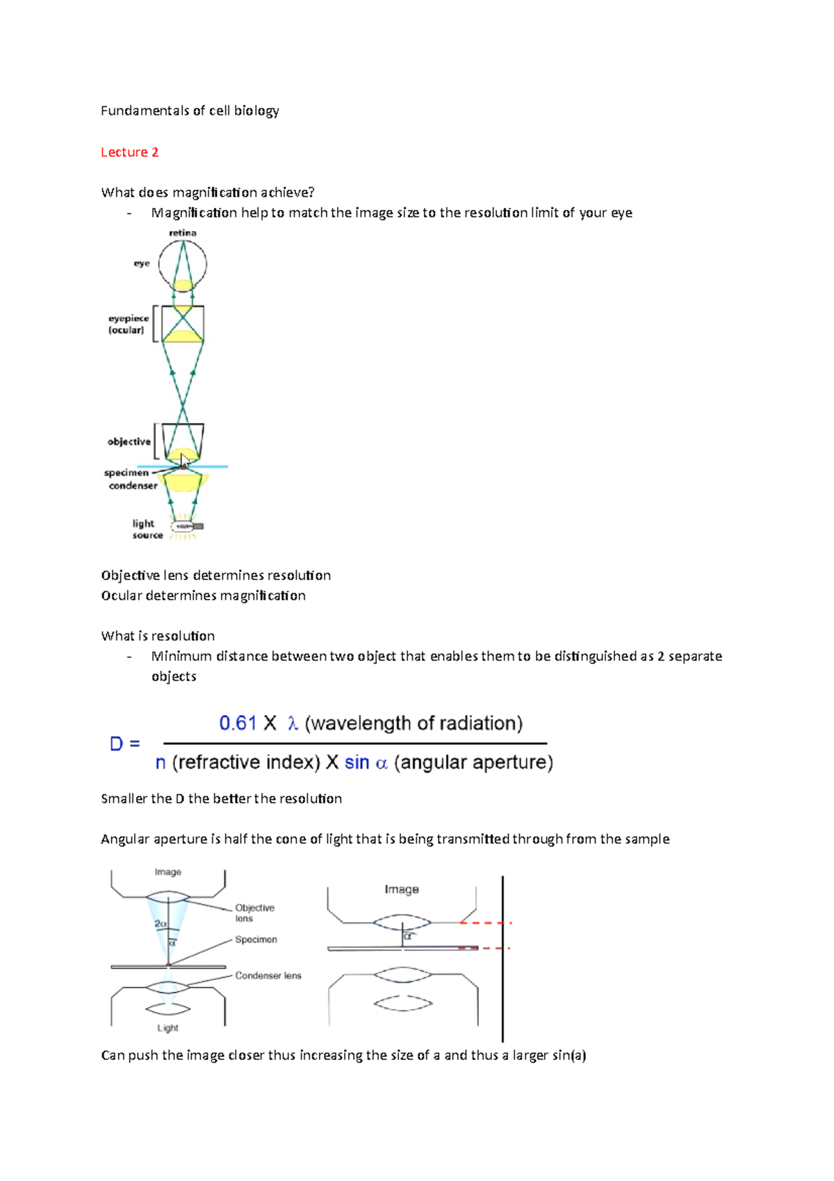 Fundamentals of cell biology - Fundamentals of cell biology Lecture 2 ...