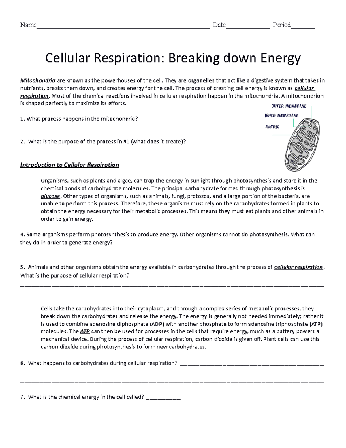 Cellular+Respiration+homework - Name
