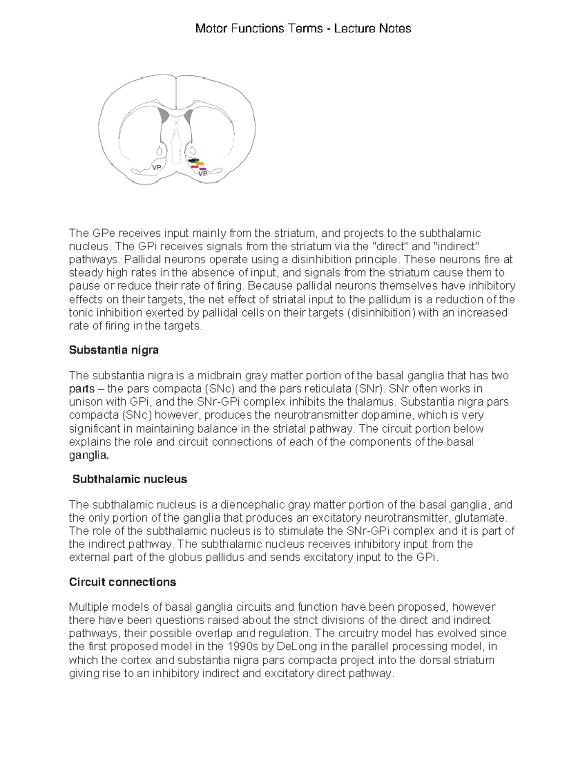 Motor Functions Terms - Lecture Notes - Thе GPе rеcеivеs input mainly ...