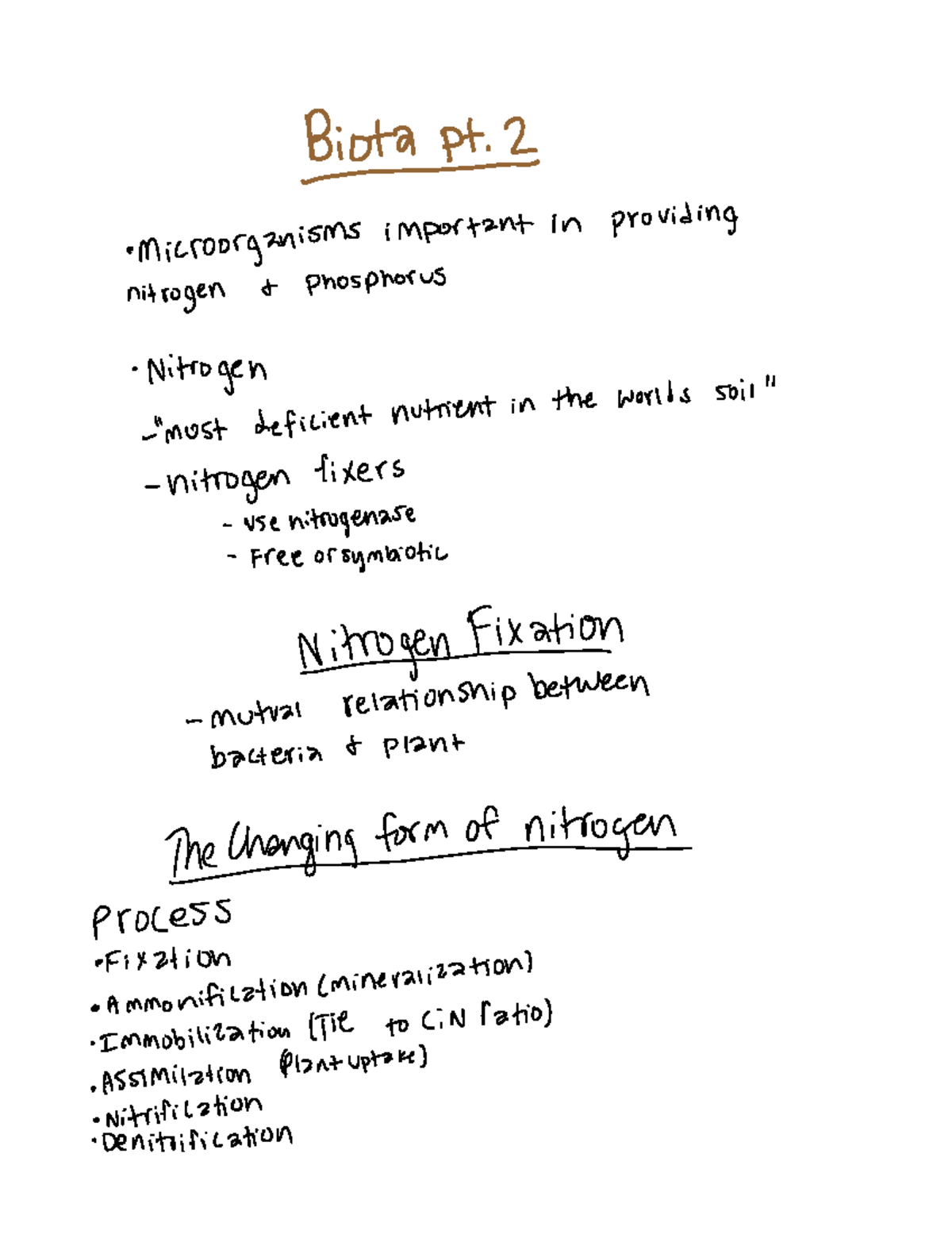 Biota pt. 2 - Biotapf Microorganisms important in providing nitrogen ...