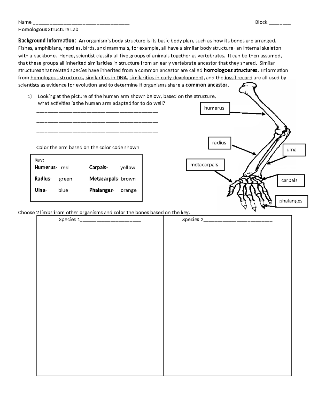 Homologous Structure Lab with Pictures - Name ...