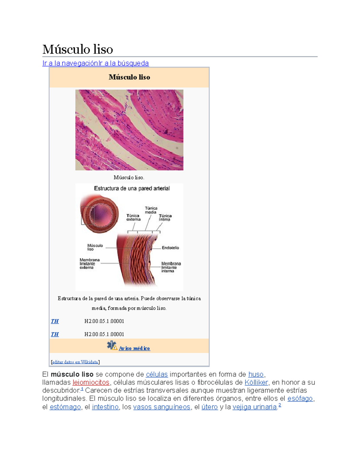 Musculo liso - Músculo liso Ir a la navegación Ir a la búsqueda Músculo ...