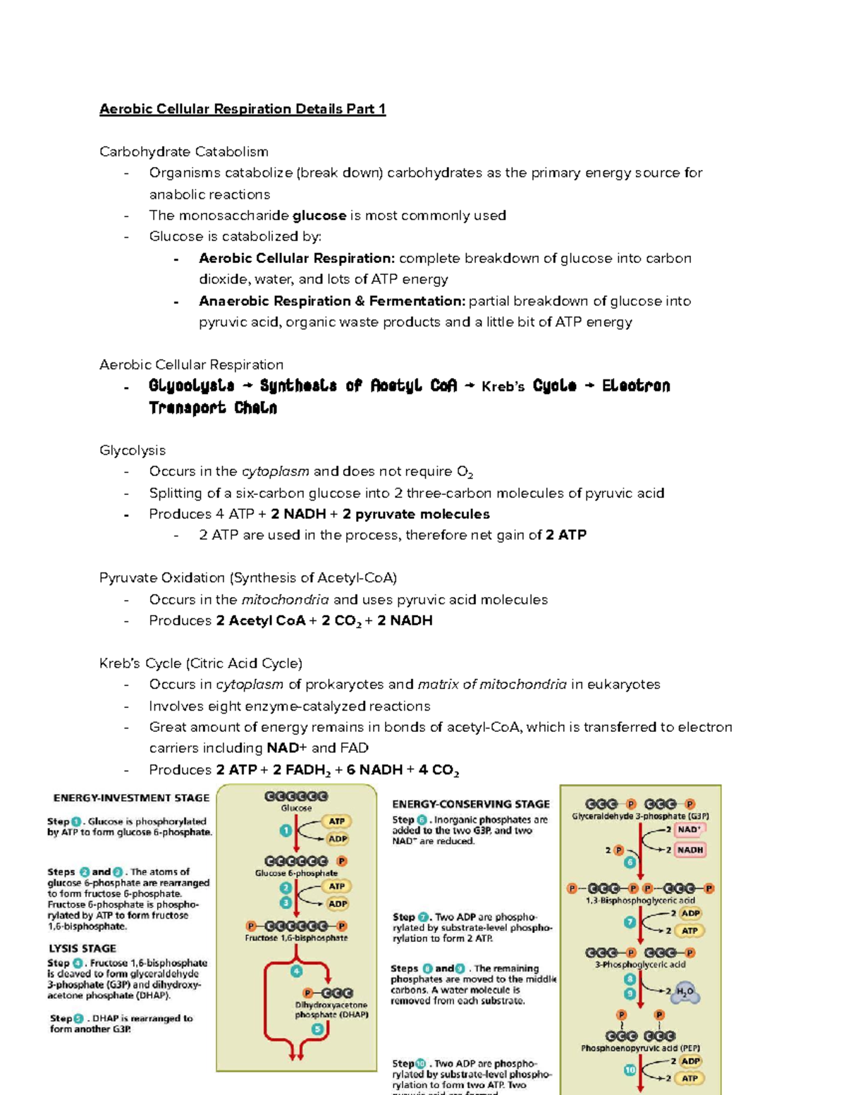 Aerobic Cellular Respiration Details Part 1 - Oxidation-Reduction ...