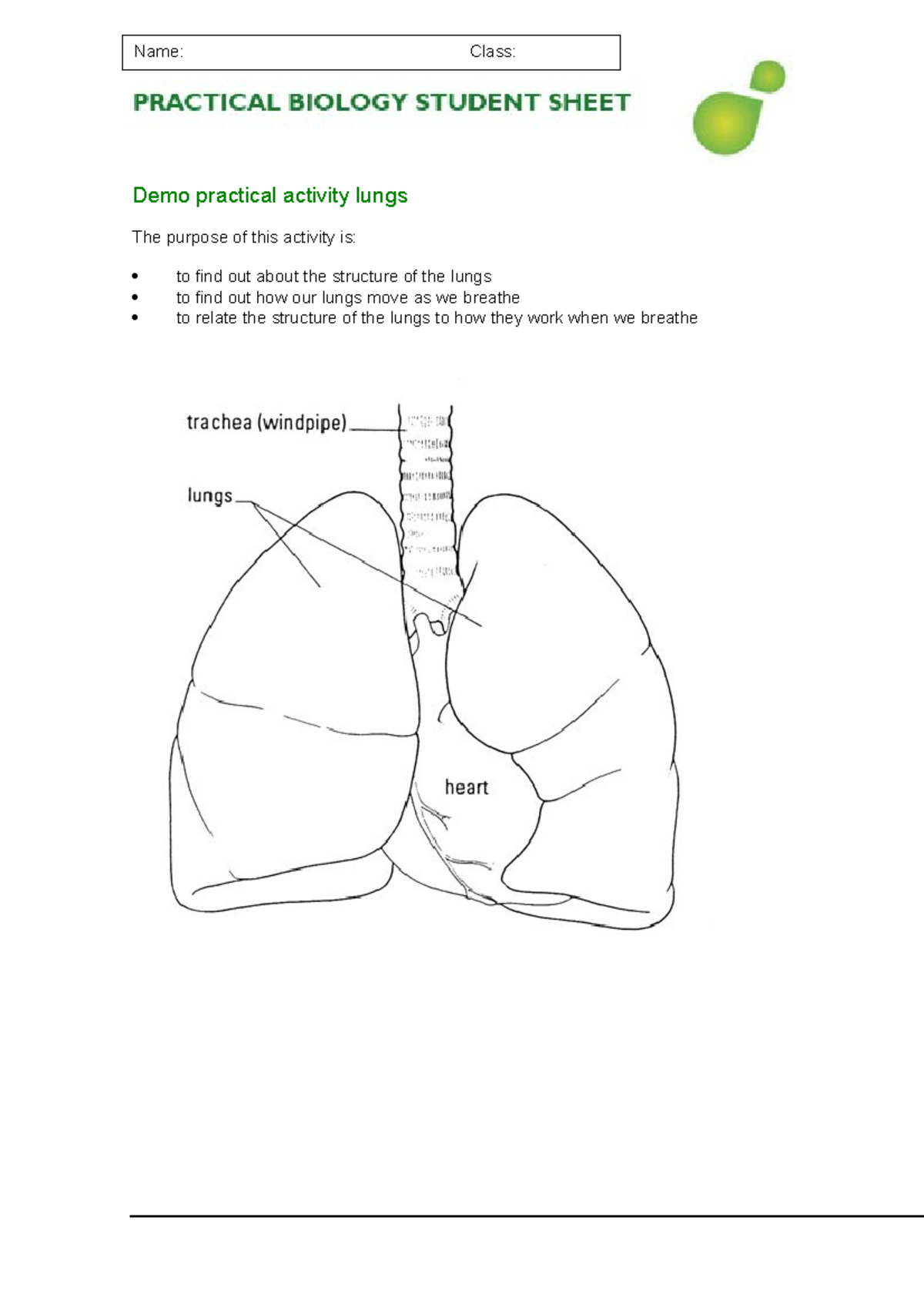 Worksheet pig lung dissection - Demo practical activity lungs The ...