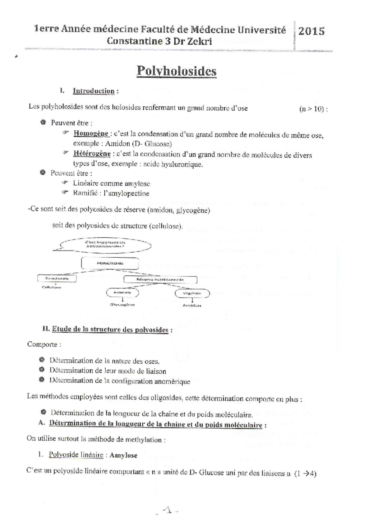 Bioch 1an-polyholosides - cours de médecine générale - Studocu