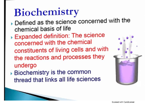 20 different amino acids assignment - Chemistry department/ Third class ...