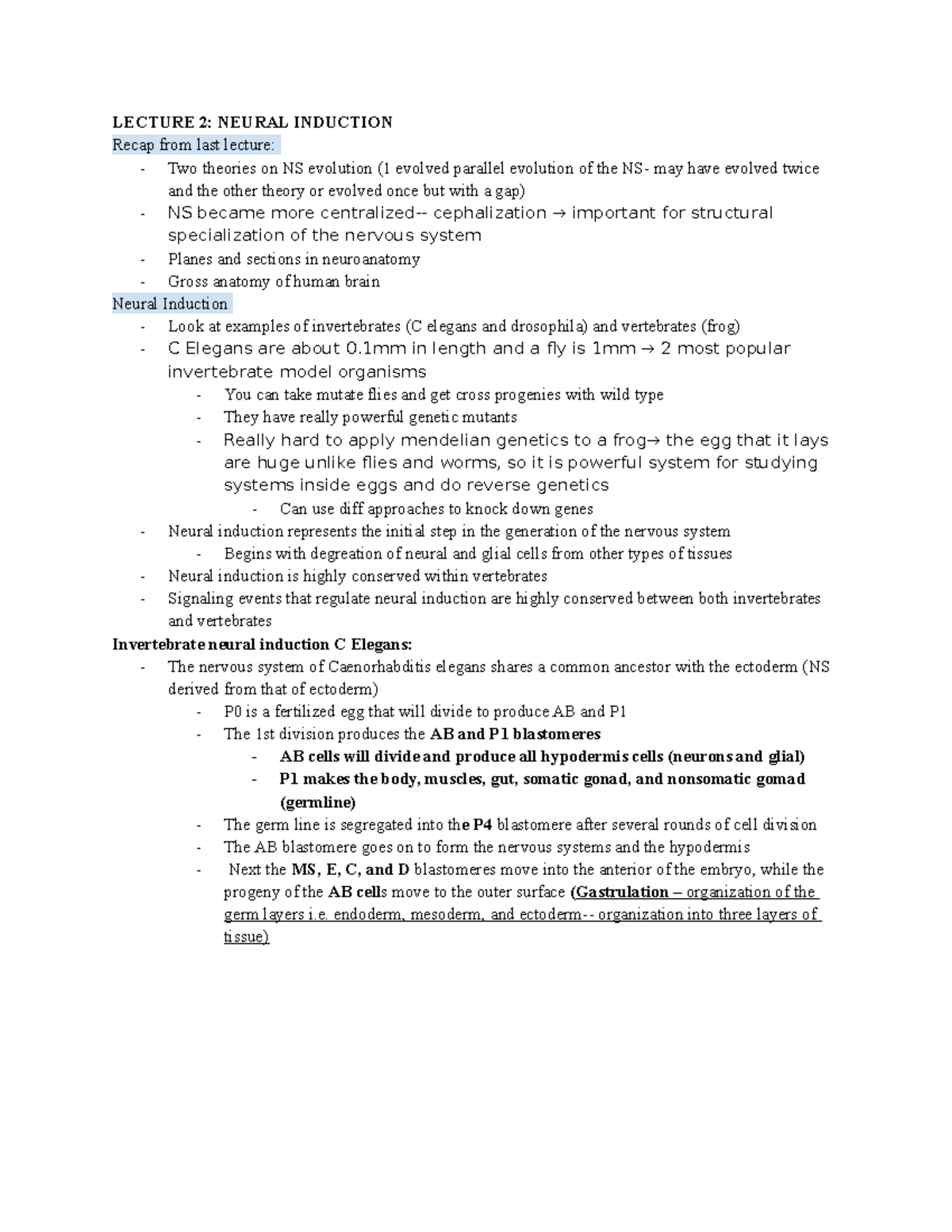 Dn Lecture 2 Neural Induction Lecture 2 Neural Induction Recap From Last Lecture Two