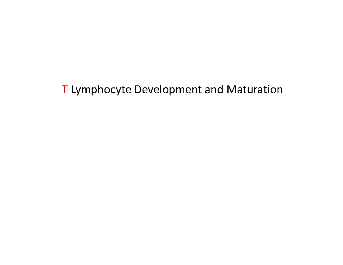 Lect1 Lymphocyte dev and Maturation AU2022 - T Lymphocyte Development ...