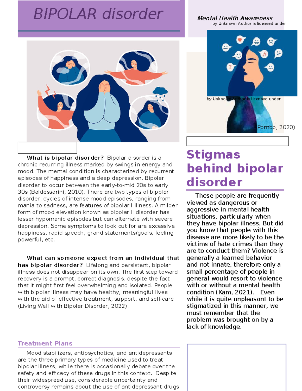 Bipolar disorder - This is an assignment to help you out. - 1 BIPOLAR ...