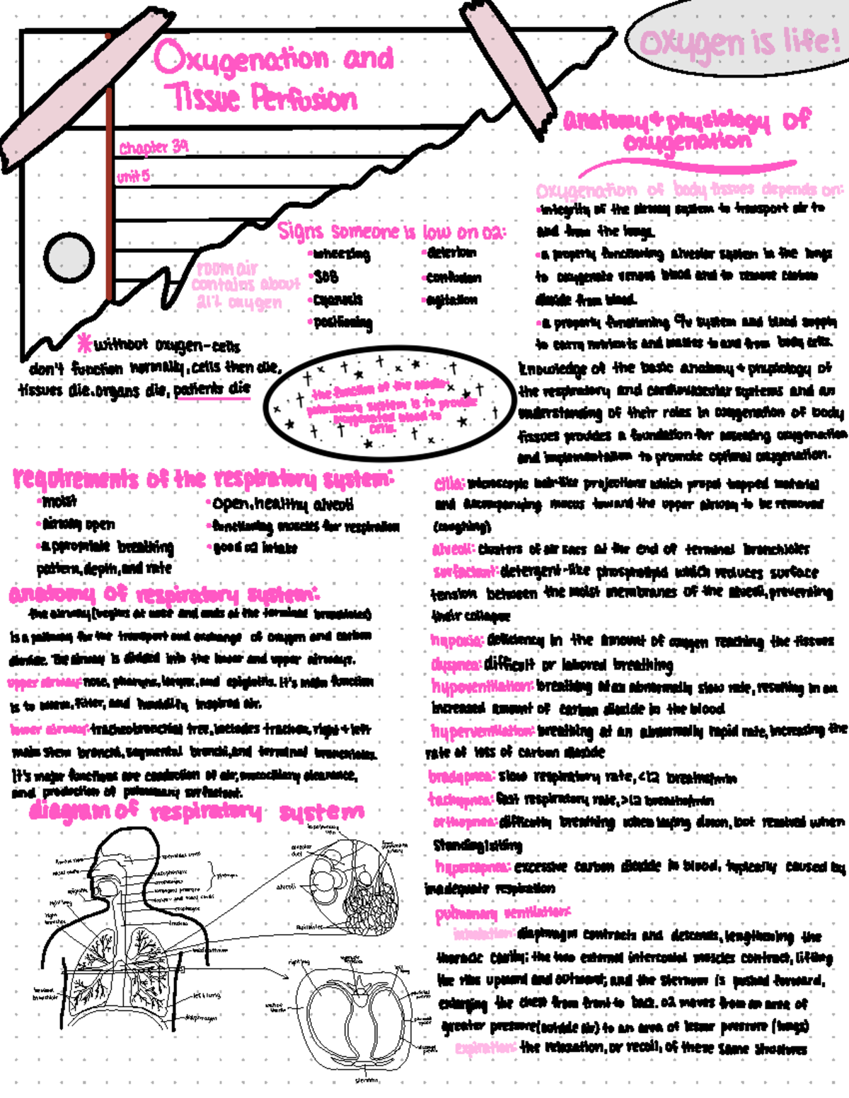 Oxygenation And Perfusion (unit 5) - Oxygen is life! anatomyt physiology of eigeneratonara Woman ...