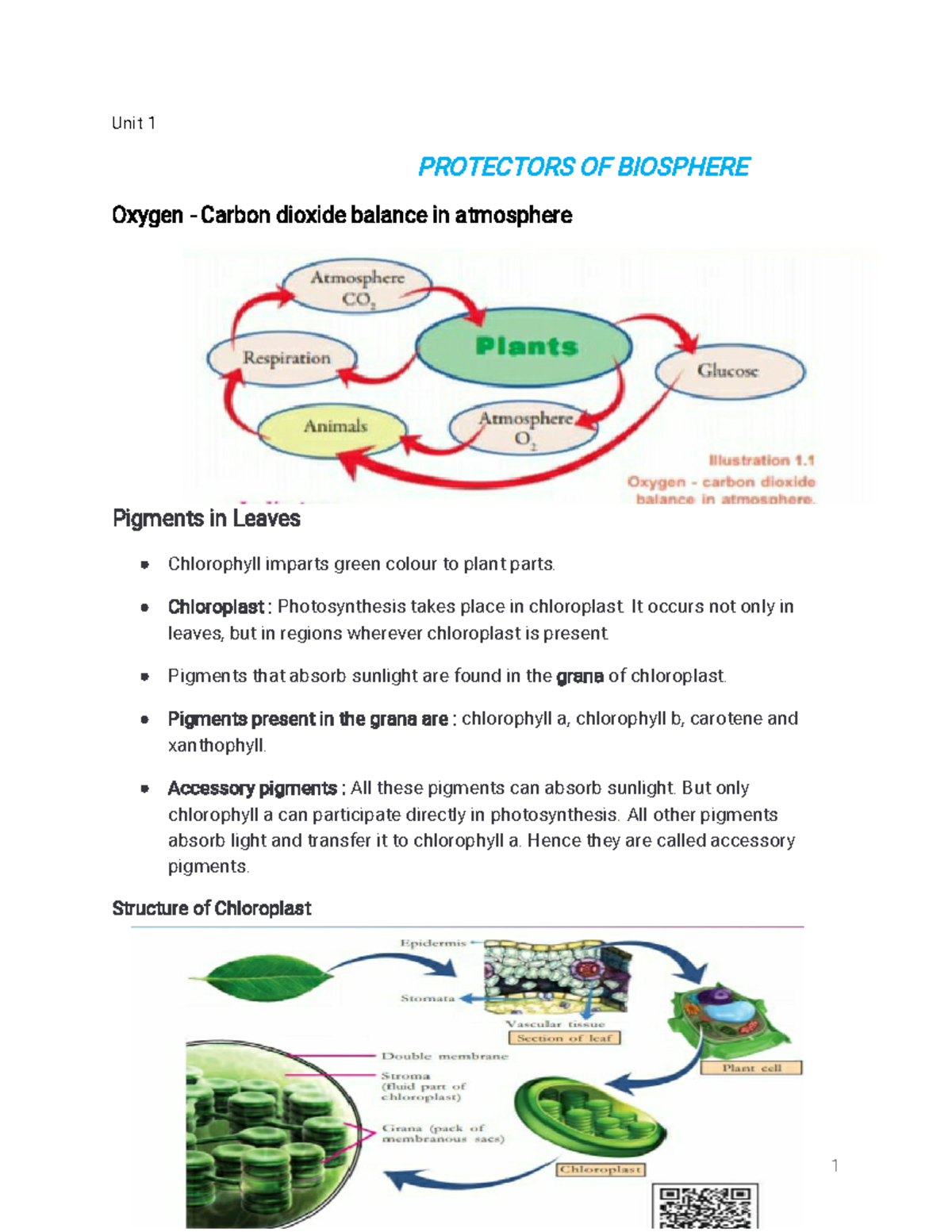 Bio 9 first unit - sdasqsdfaddsdasqsdfadd - Unit 1 P R O T E C T O R S ...
