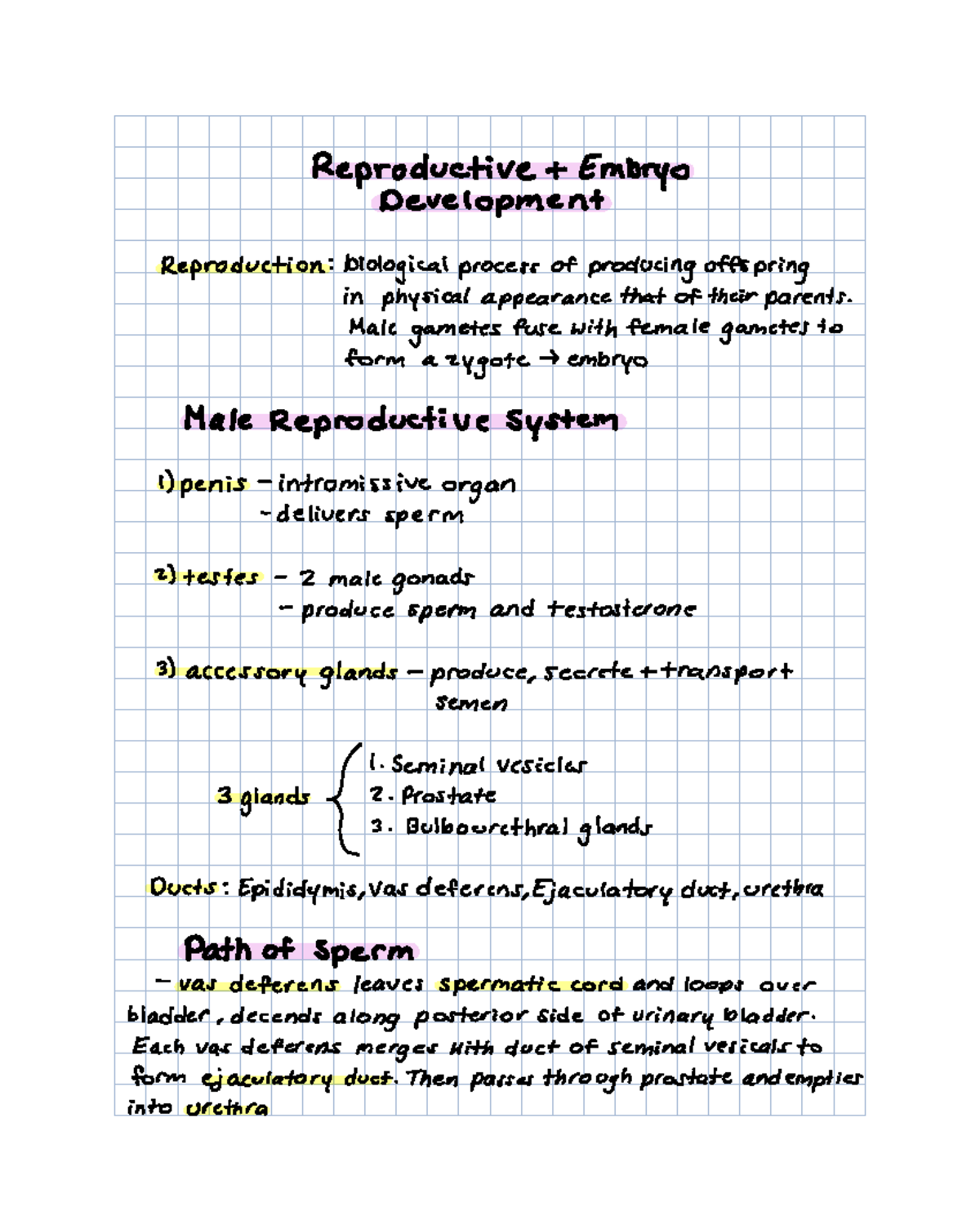 Lab 16- reproductive and embryo development - Reproductive Embryo ####### Development ...
