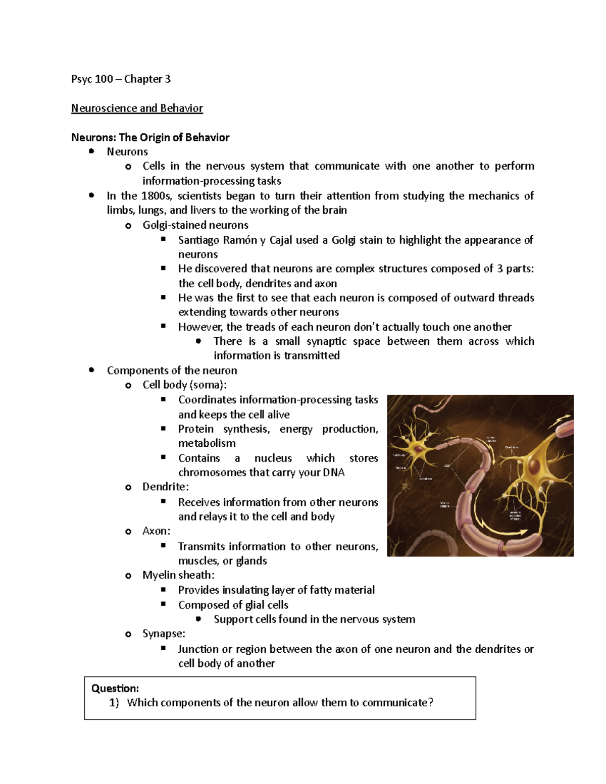 Psyc 100 – Chapter 3 - Psyc 100 – Chapter 3 Neuroscience and Behavior ...