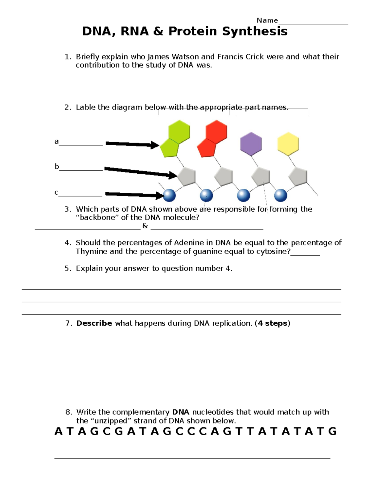 DNA and RNA Worksheet - Name_____________________ DNA, RNA & Protein ...