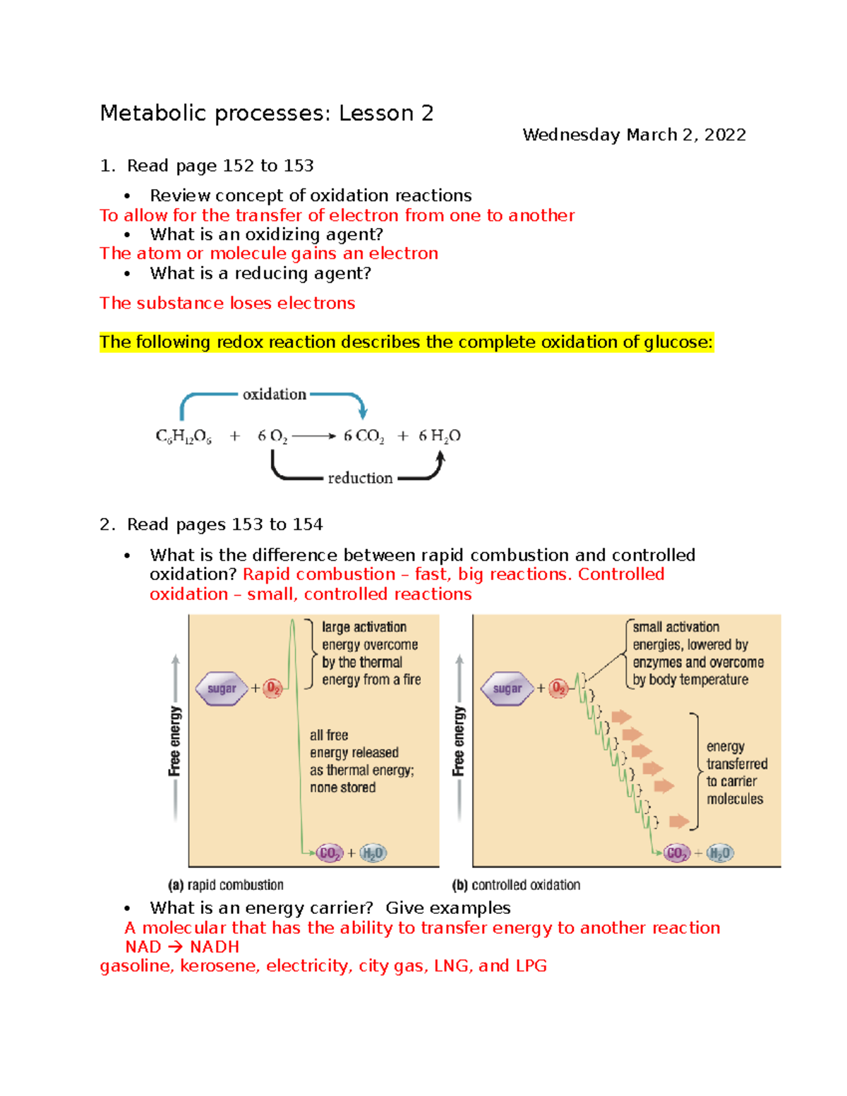 Metabolic processes - hello - Metabolic processes: Lesson 2 Wednesday ...