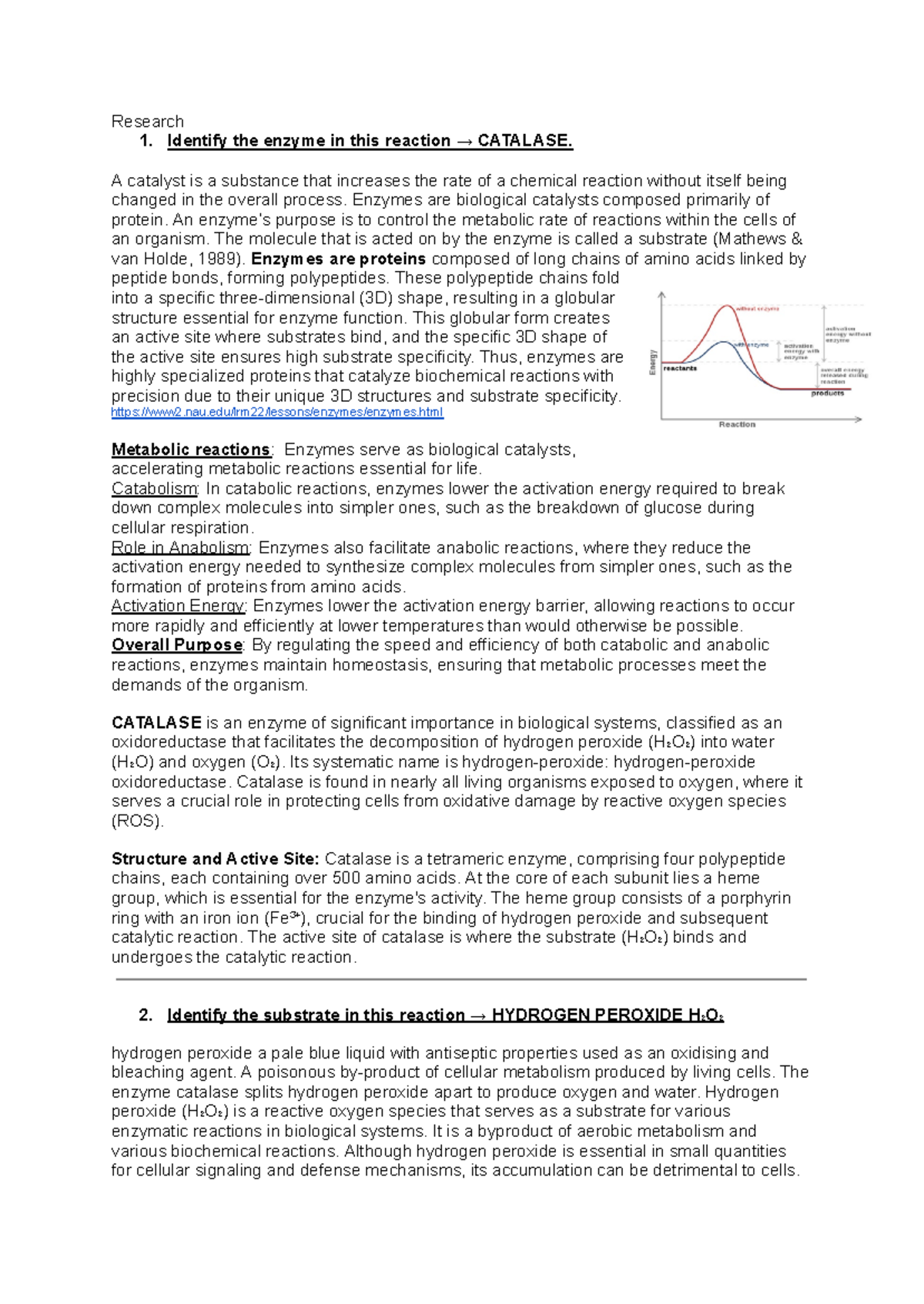 Biology depth study 2 - Research 1. Identify the enzyme in this ...