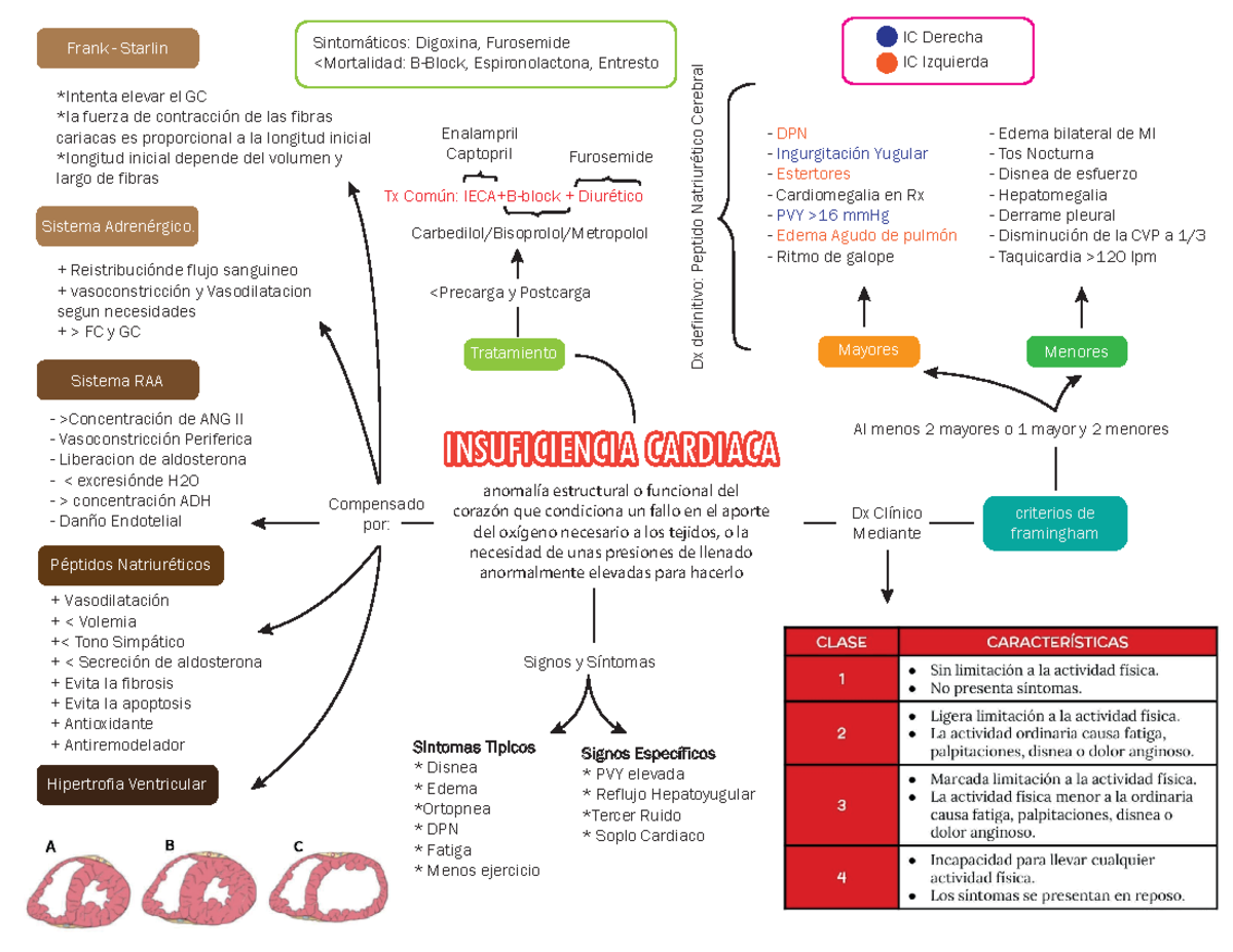 Insuficiencia Cardiaca mapa - anomalía estructural o funcional del ...