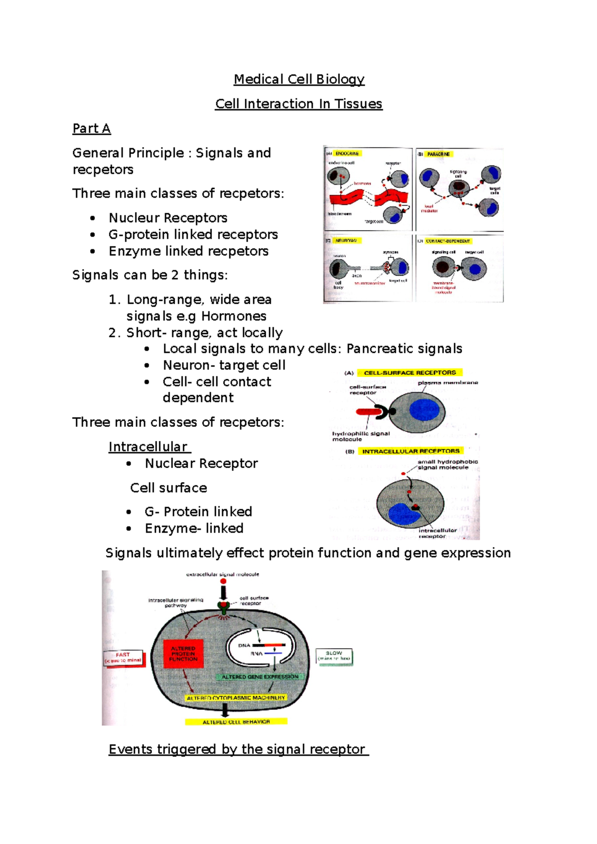 Medical Cell Biology Week 11 (Lecture 2) - Medical Cell Biology Cell ...