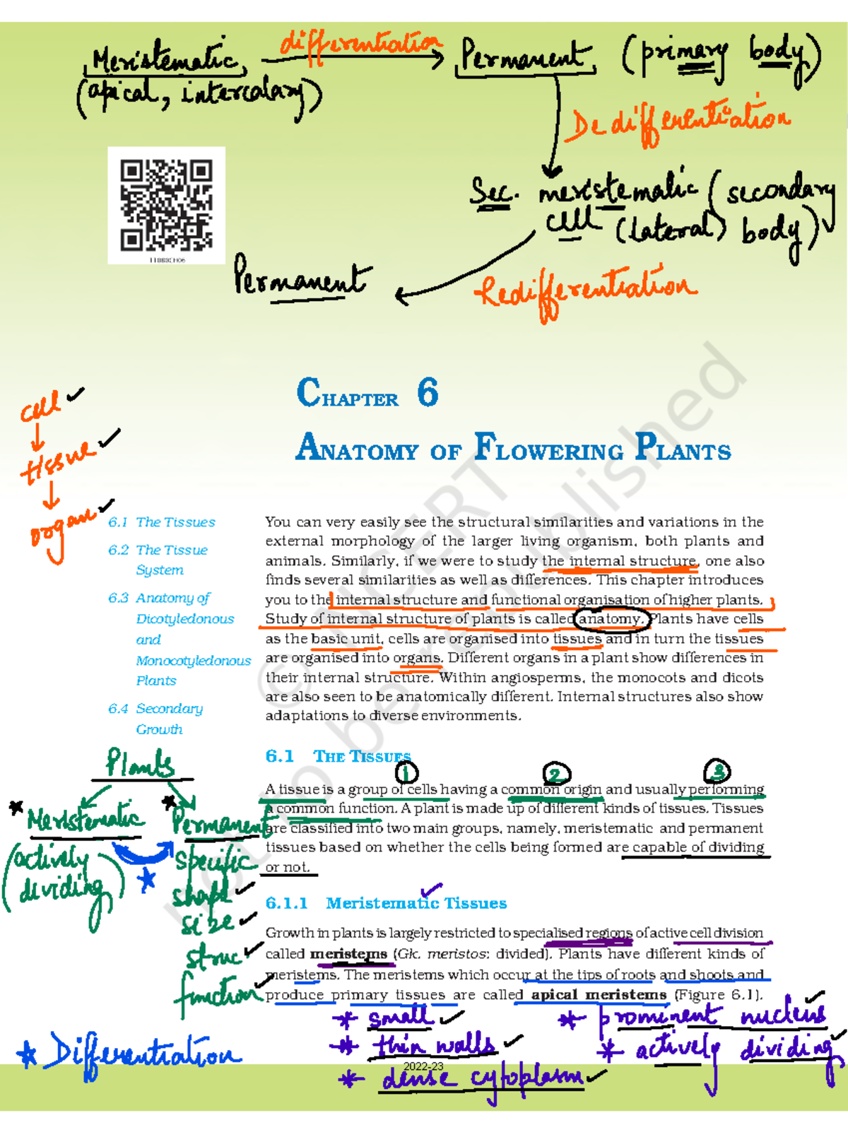 Anatomy of Flowering Plants - 84 BIOLOGY You can very easily see the ...
