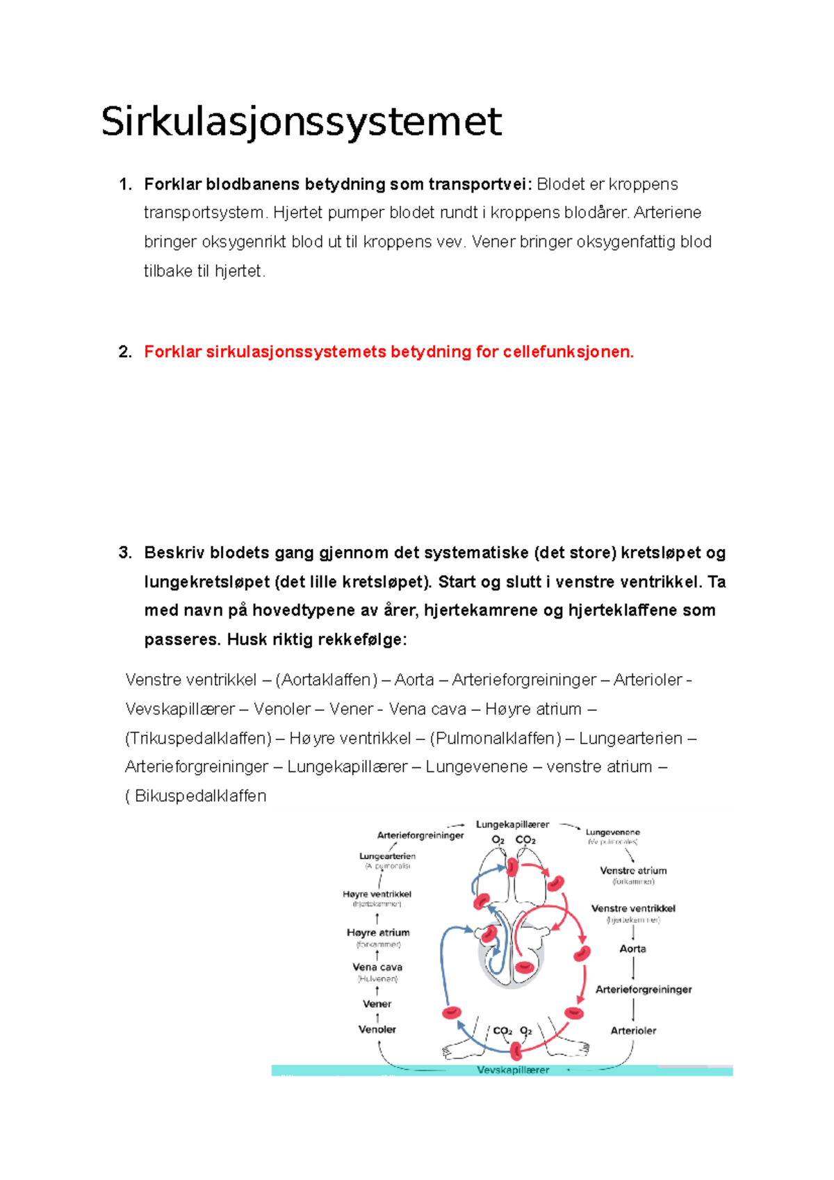 Sirkulasjonssytemet - litt notater - Sirkulasjonssystemet 1. Forklar blodbanens betydning som ...