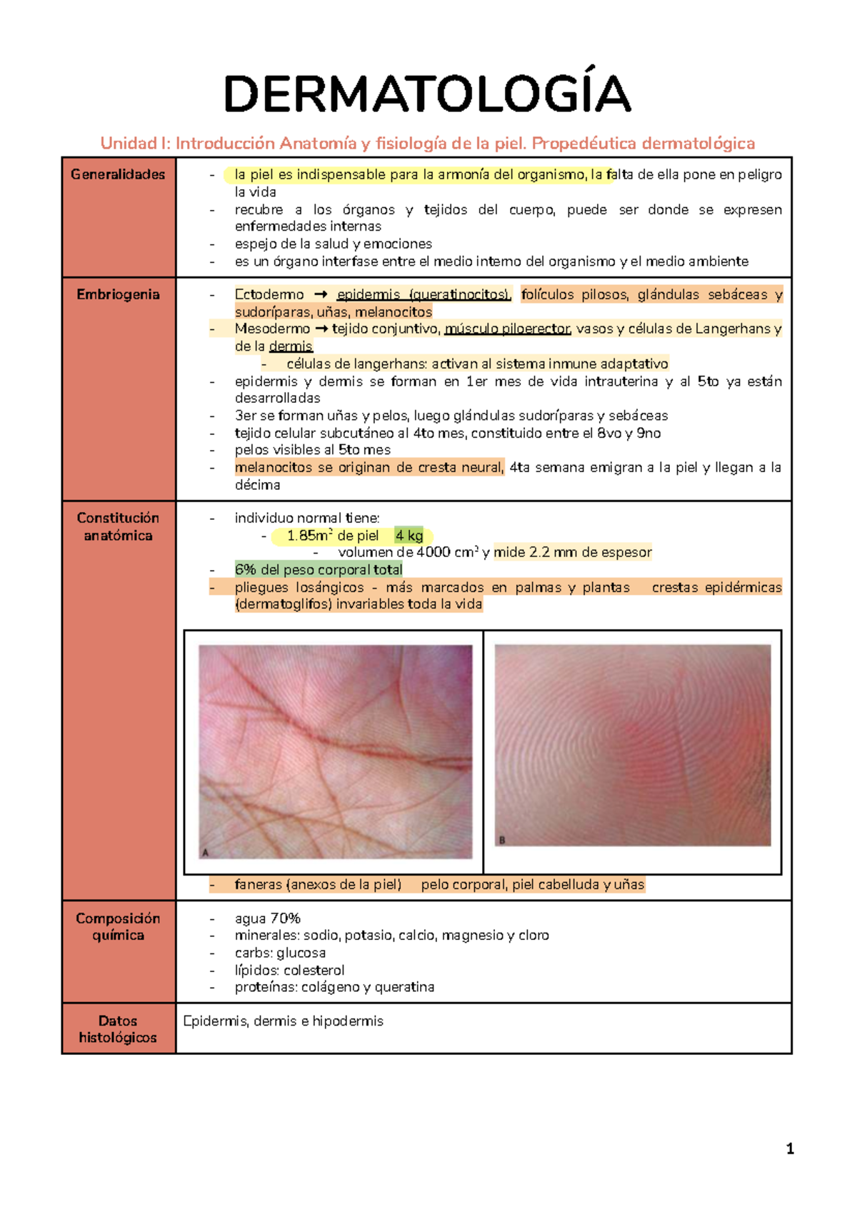 1p Dermatología - DERMATOLOGÍA Unidad I: Introducción Anatomía y fisiología de la piel ...