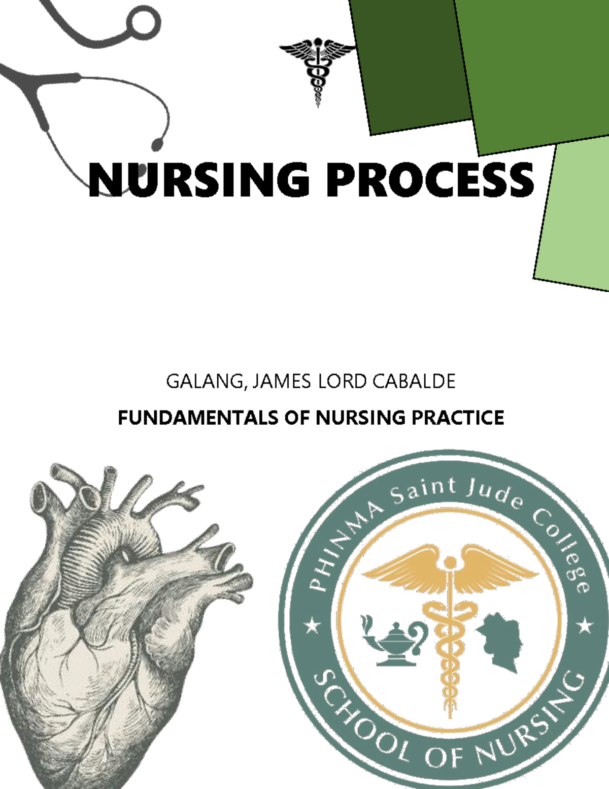 Nursing Process ( Reviewer) - NURSING PROCESS GALANG, JAMES LORD ...