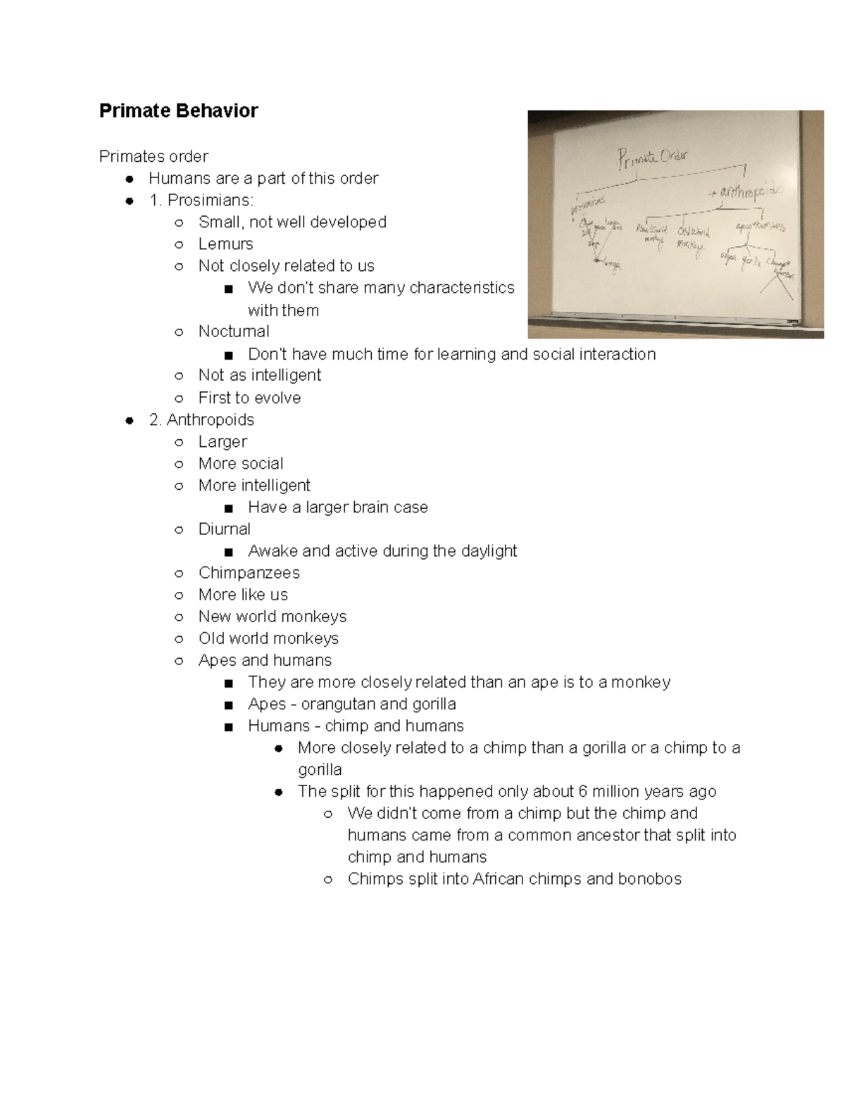 Anth 101 Primate Behavior - Primate Behavior Primates order Humans are ...