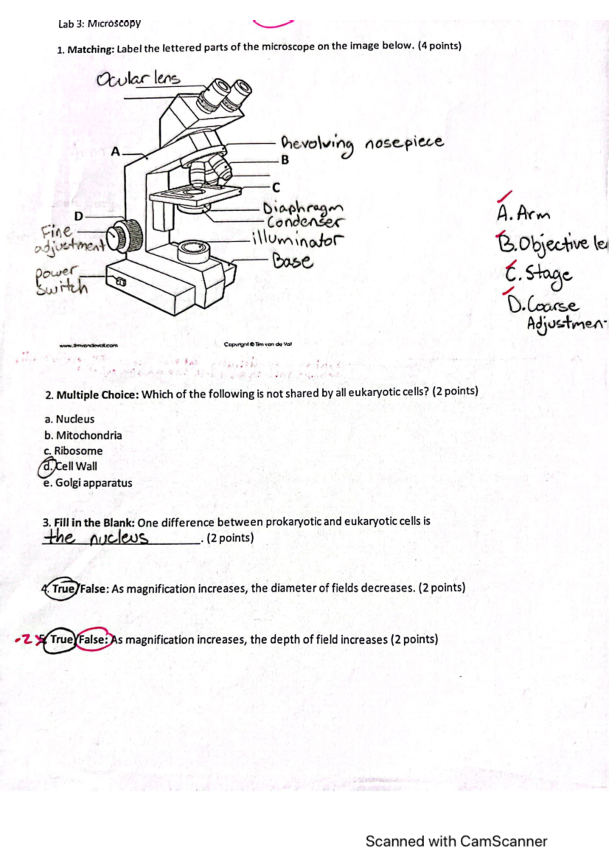 Biology lab three microscopy - BSC 1005L - Studocu