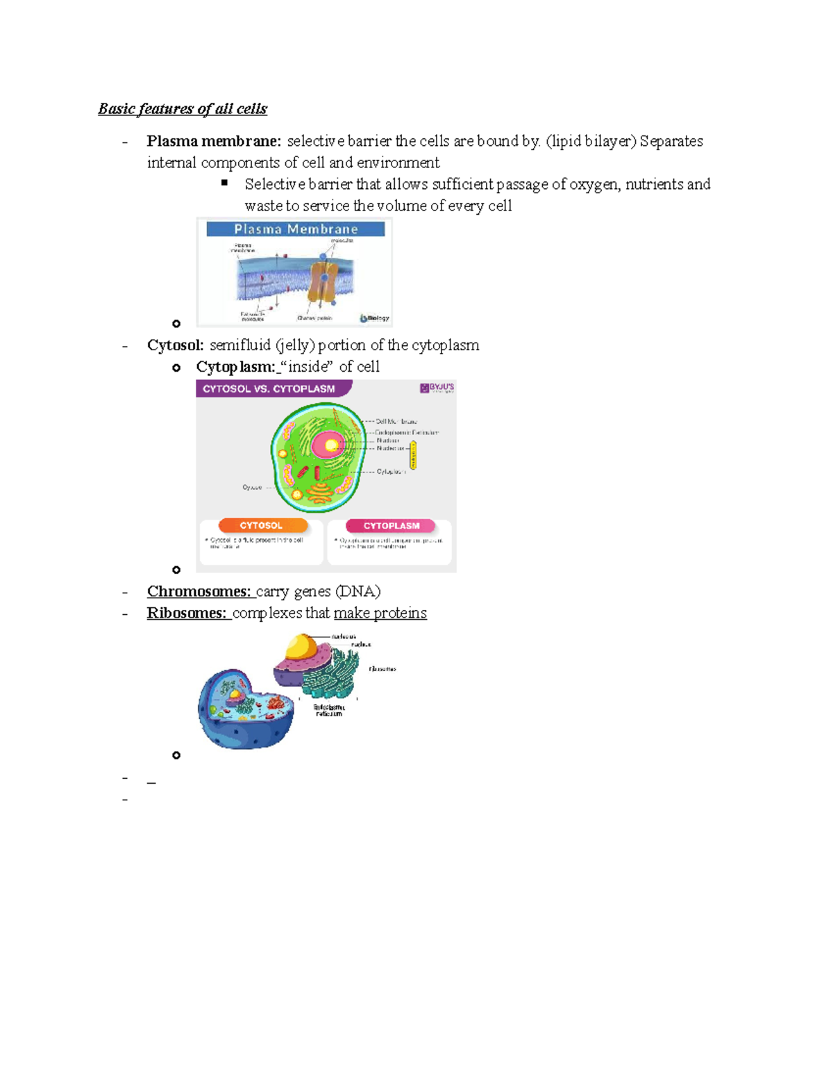 Bio 1 exam 2 study guide - Basic features of all cells - Plasma ...