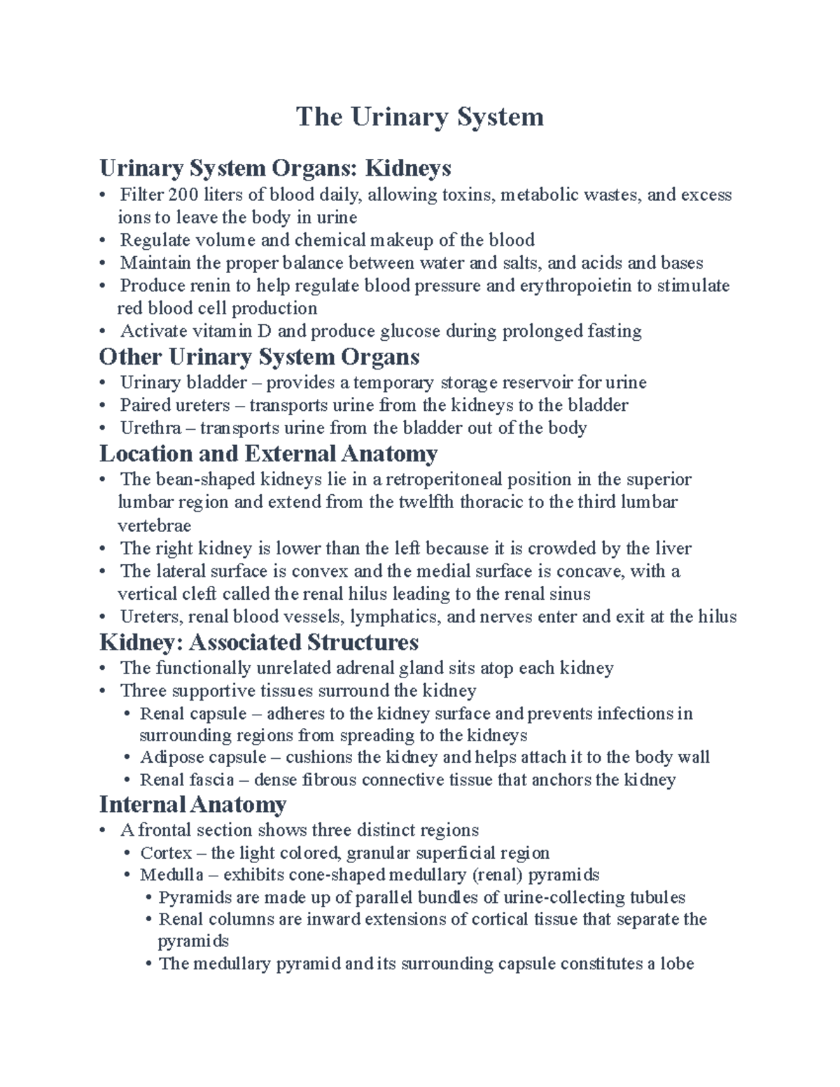 The Urinary System - Lecture notes 8 - The Urinary System Urinary ...