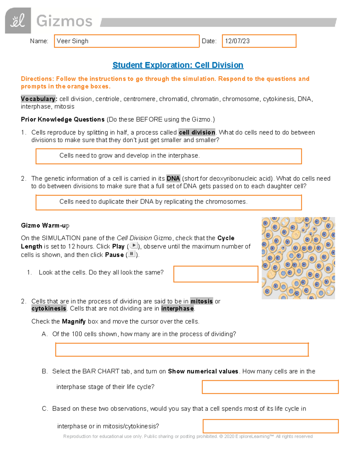 Cell Division Gizmo - Name: Veer Singh Date: 12/07/ Student Exploration ...