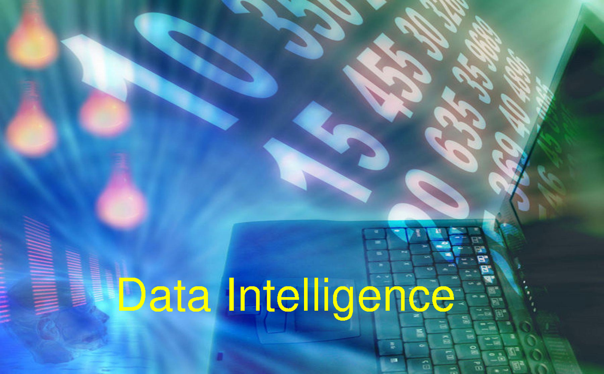 Data Intelligence Handout - Data Intelligence Basic Analytics Steps ...