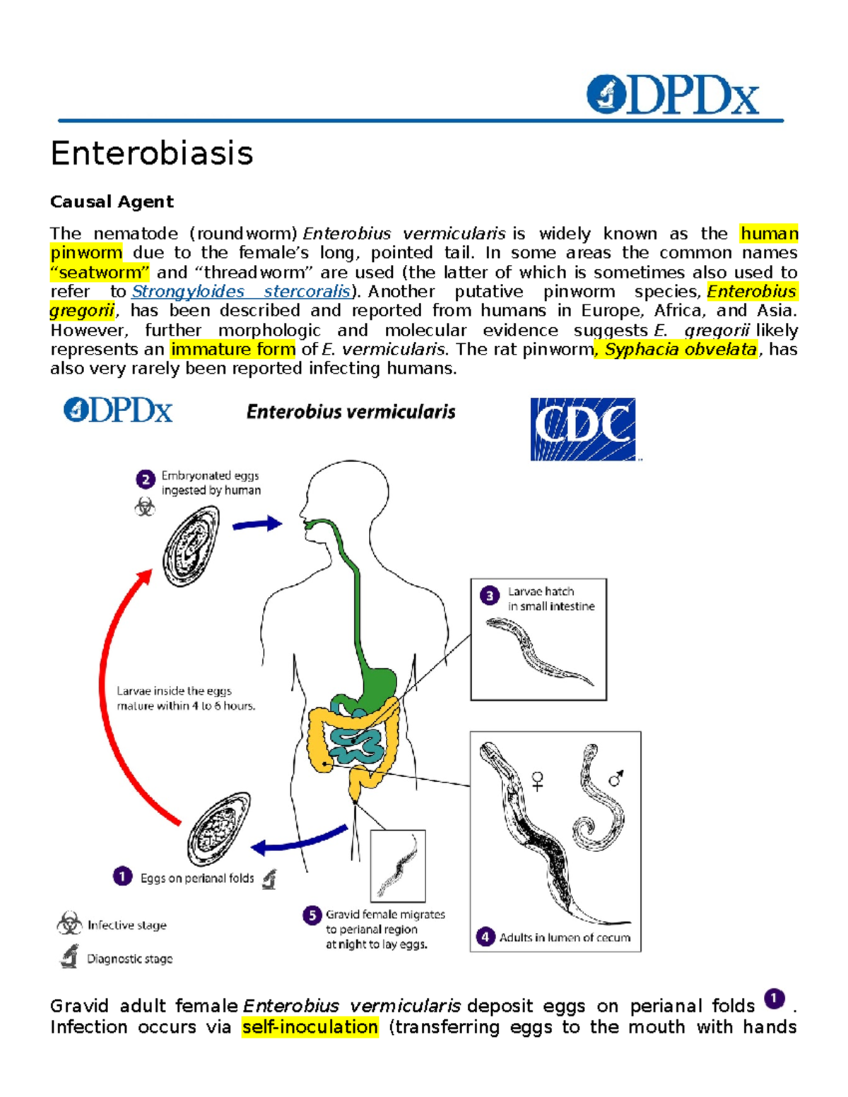 Nematodes CDC DPDx - Clinical Parasitology - Studocu
