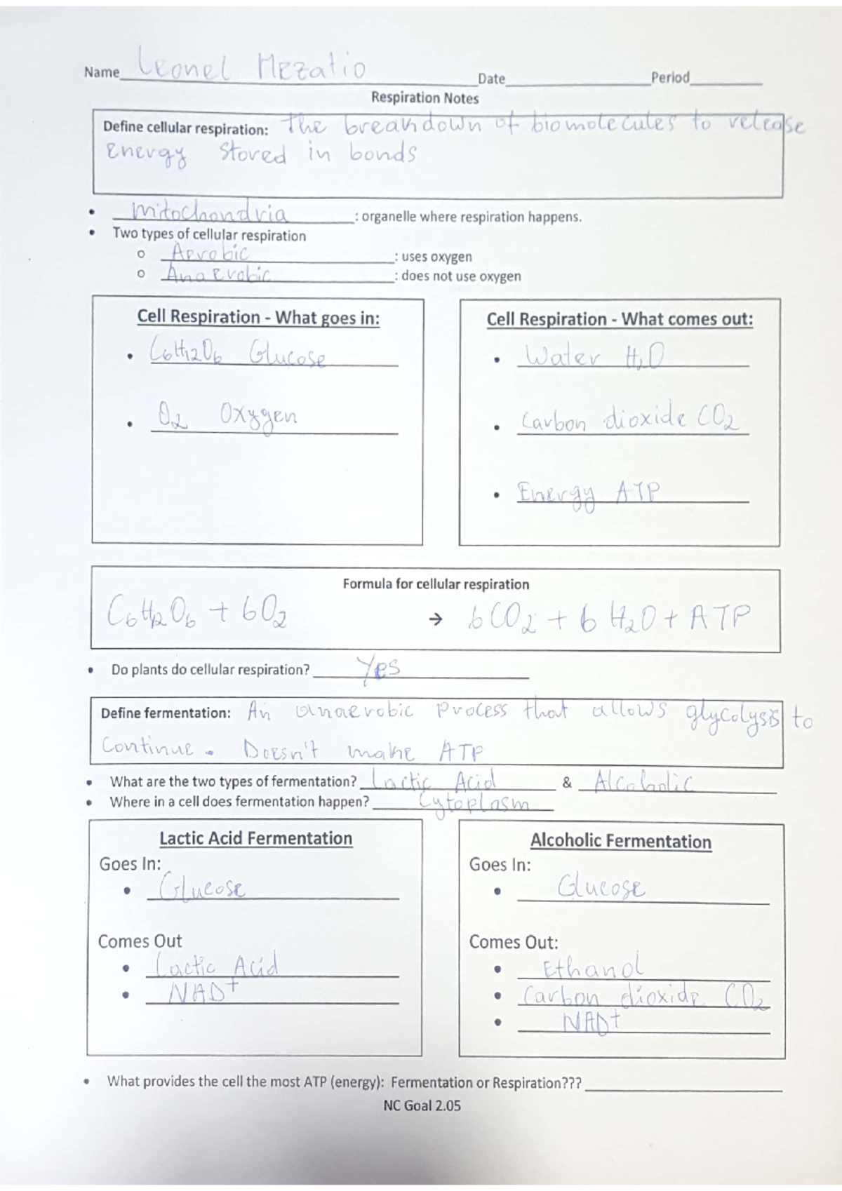 BIO 280 - Respiration Notes, Cellular Respiration - BIO 280 - Studocu