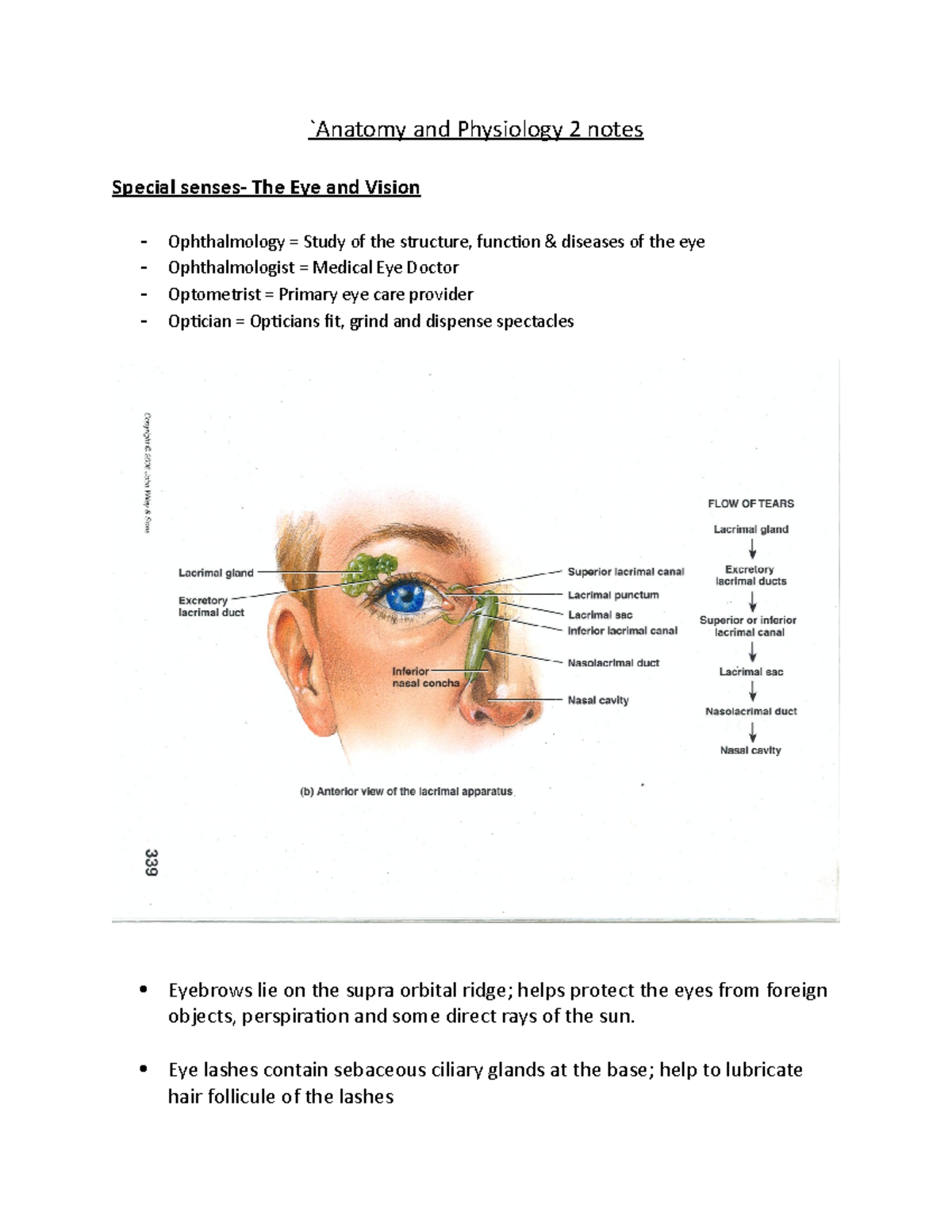 Anatomy and Physiology 2 notes - `Anatomy and Physiology 2 notes ...