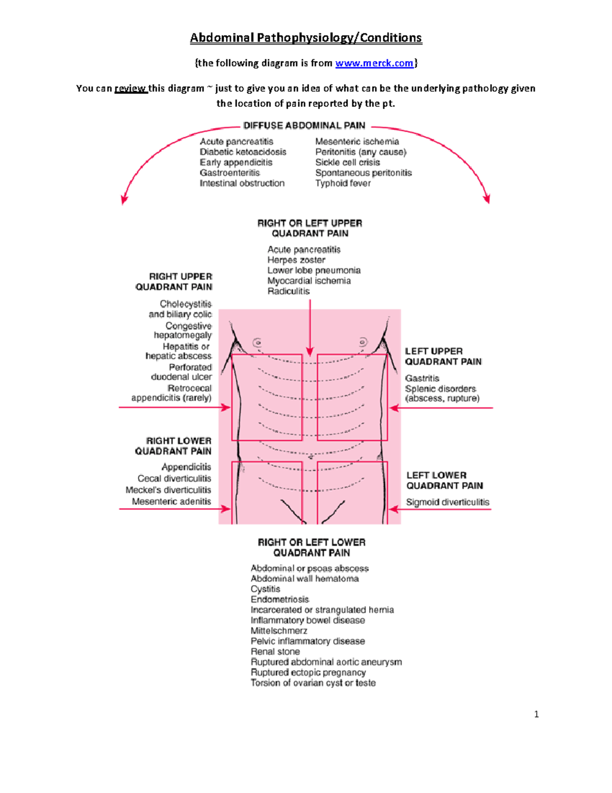 Abdo Notes - abdo pain and symptoms - Warning: TT: undefined function ...