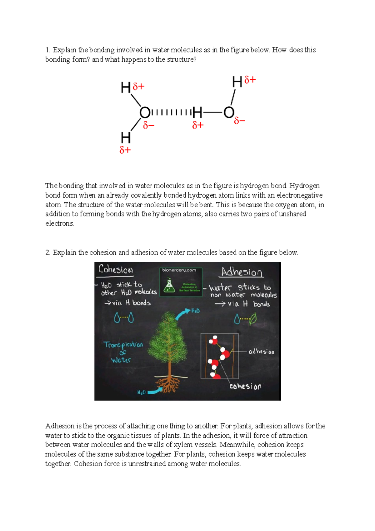 TUTO Chapter 2 (2 - TUTO FOR BIO400 - Explain the bonding involved in ...