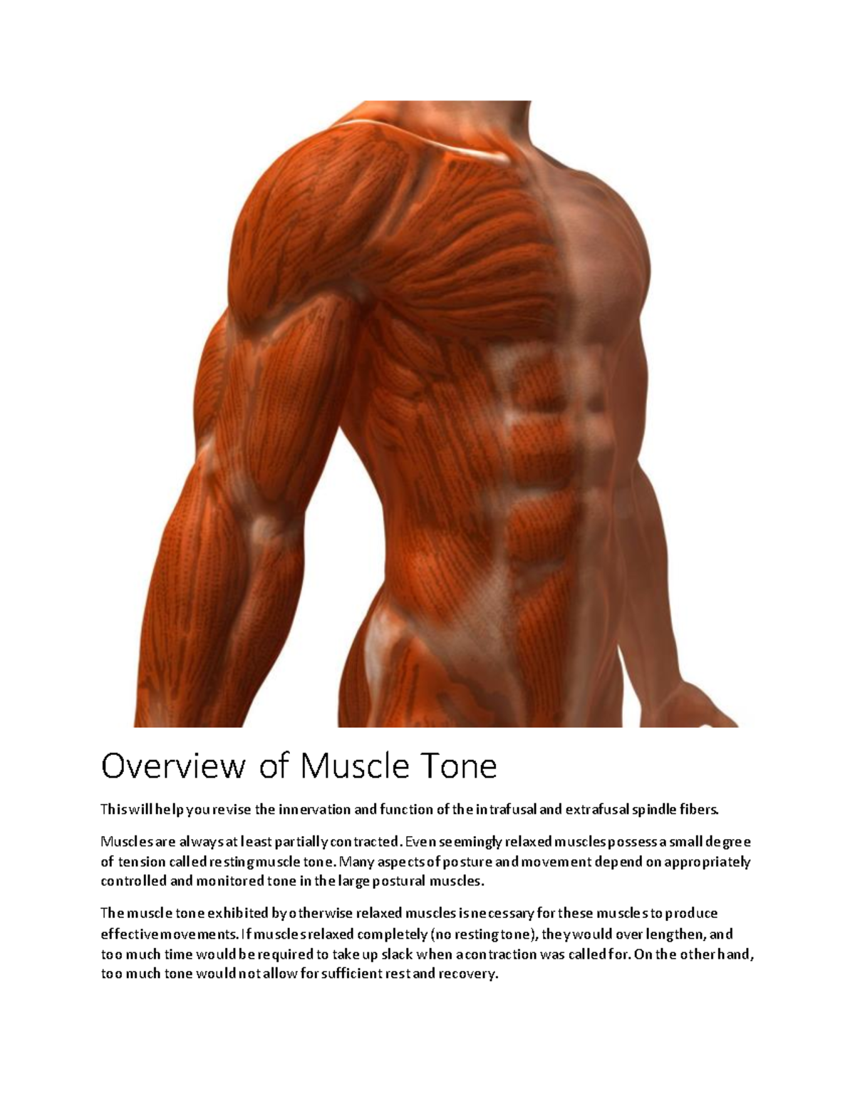 Overview of Muscle Tone - Muscles are always at least partially ...