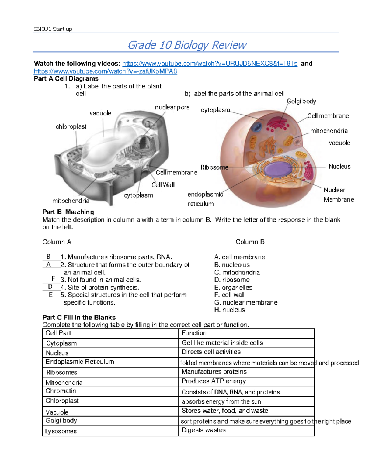 Kami Export - Sarah Khulmi - Grade 10 Bio. Review for grade 11 Biology ...