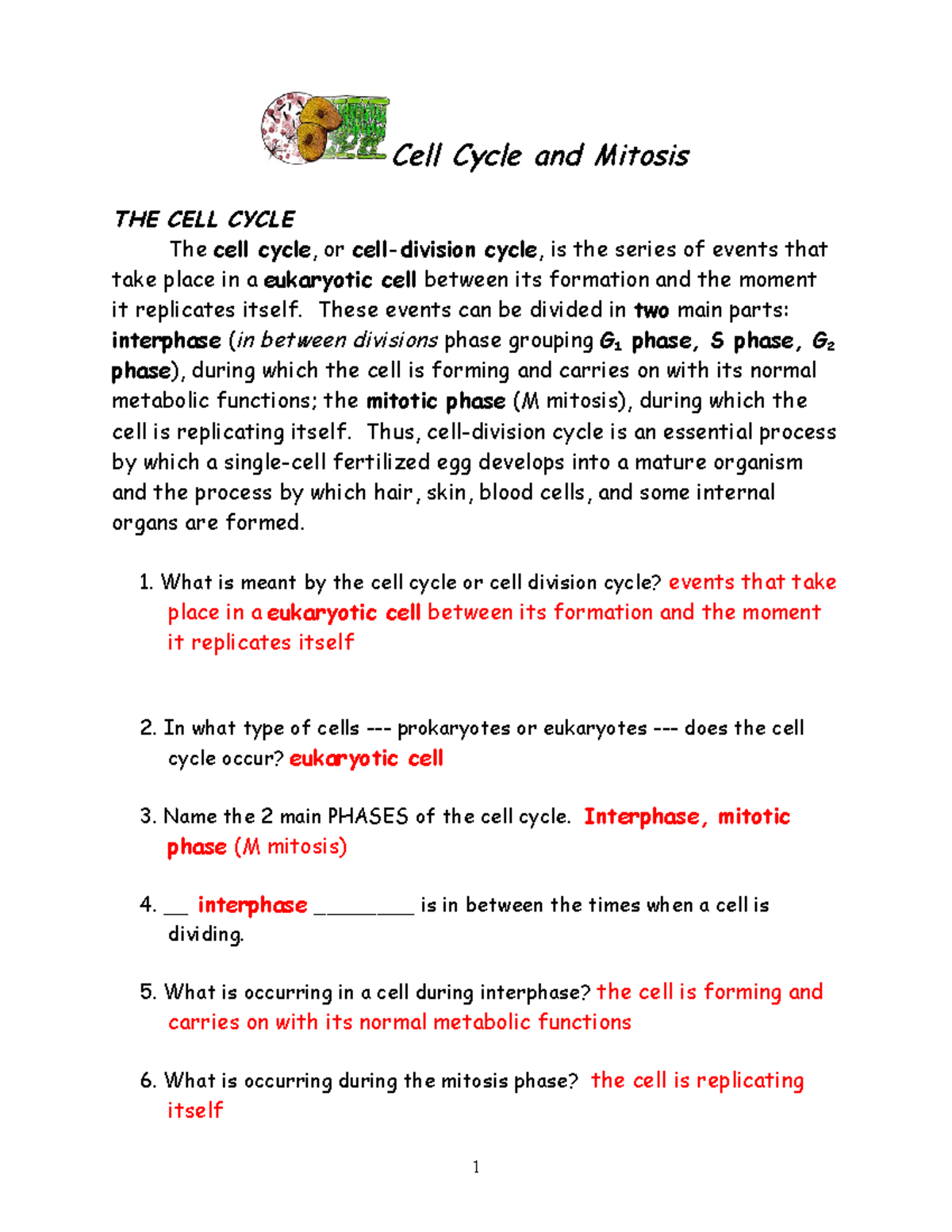 Meiosis Cycle and the Cellś Operation - Cell Cycle and Mitosis THE CELL ...